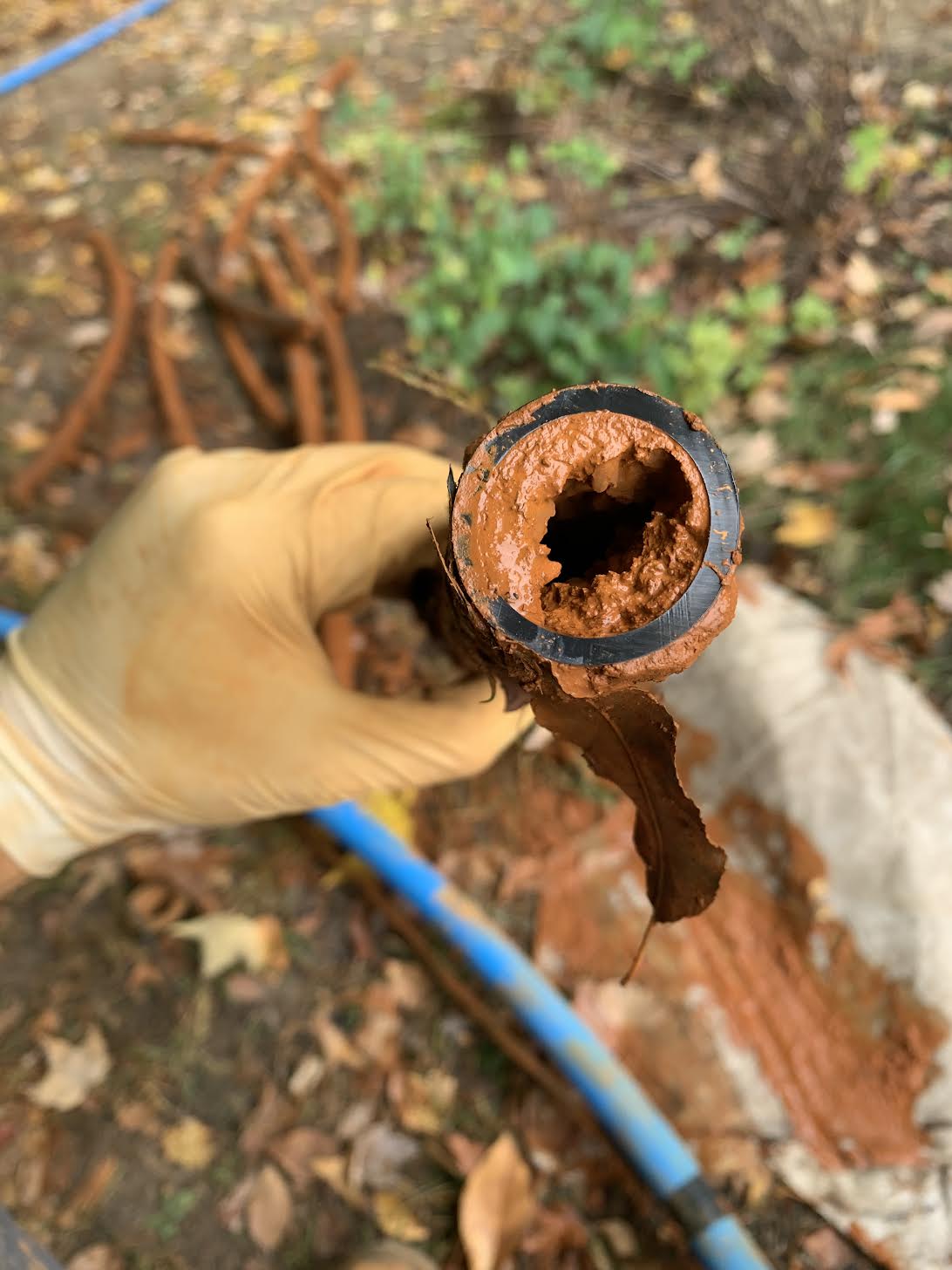 Now, iron can be present in more forms than ferrous and ferric but for ...